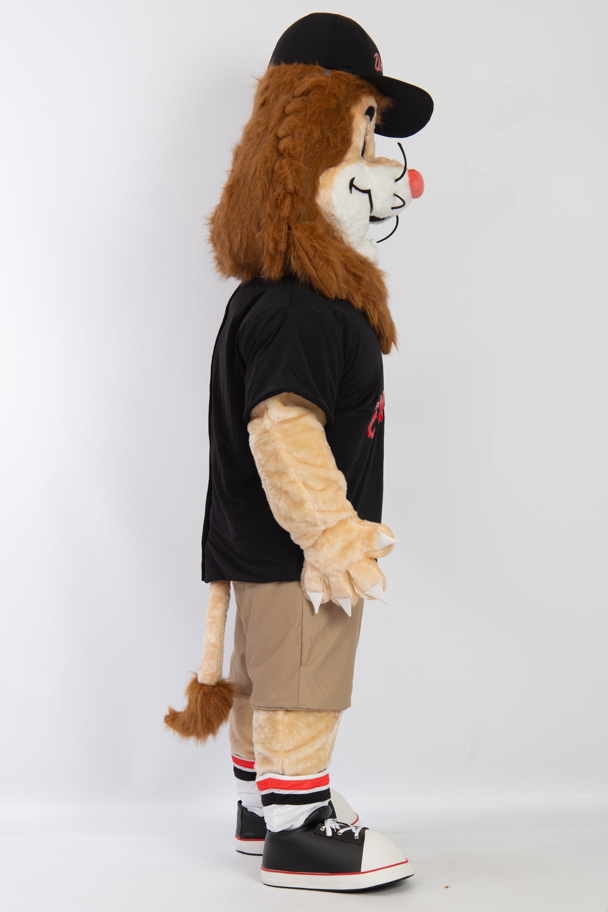 Daren Mascot – DARECATALOG