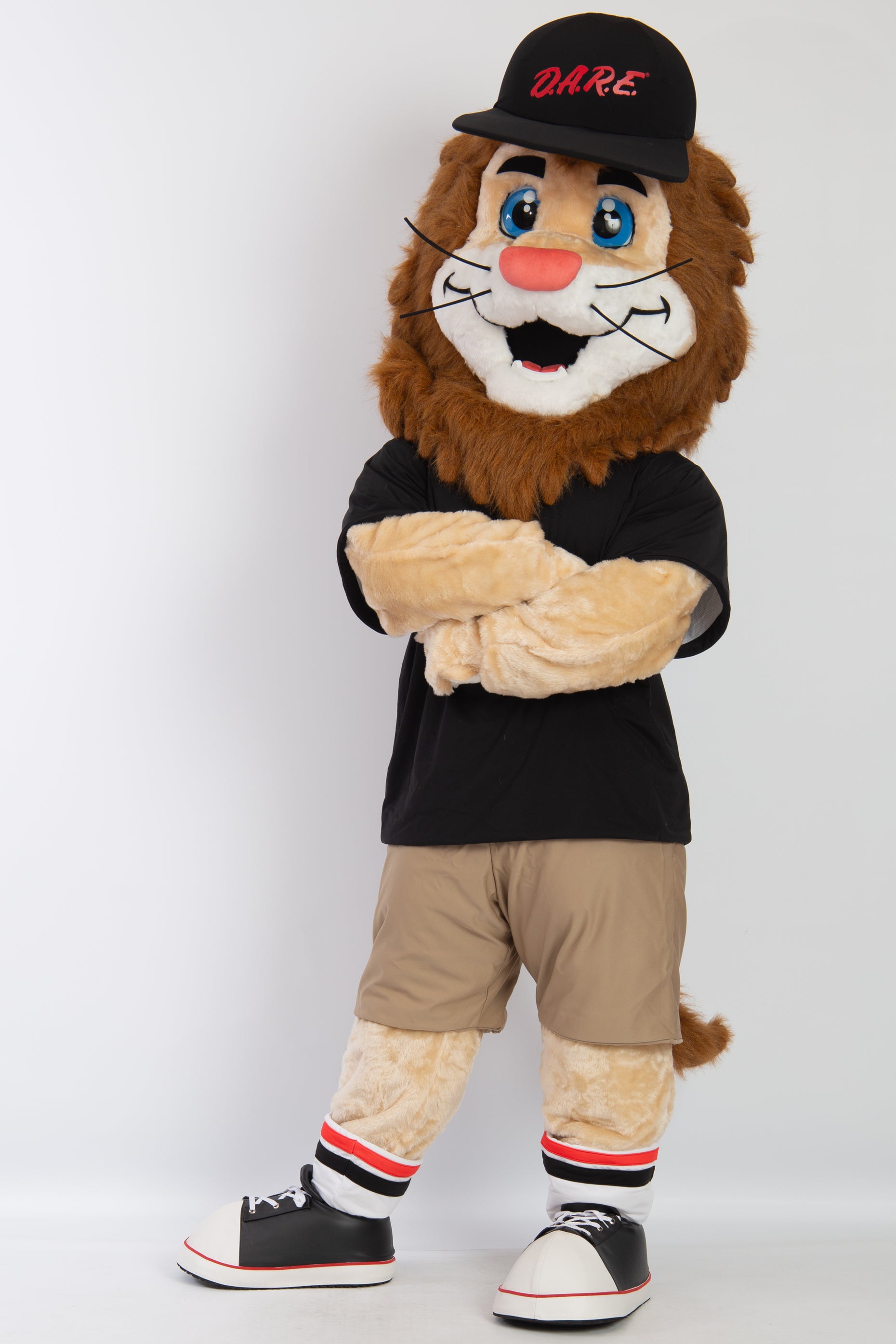 Daren Mascot – DARECATALOG